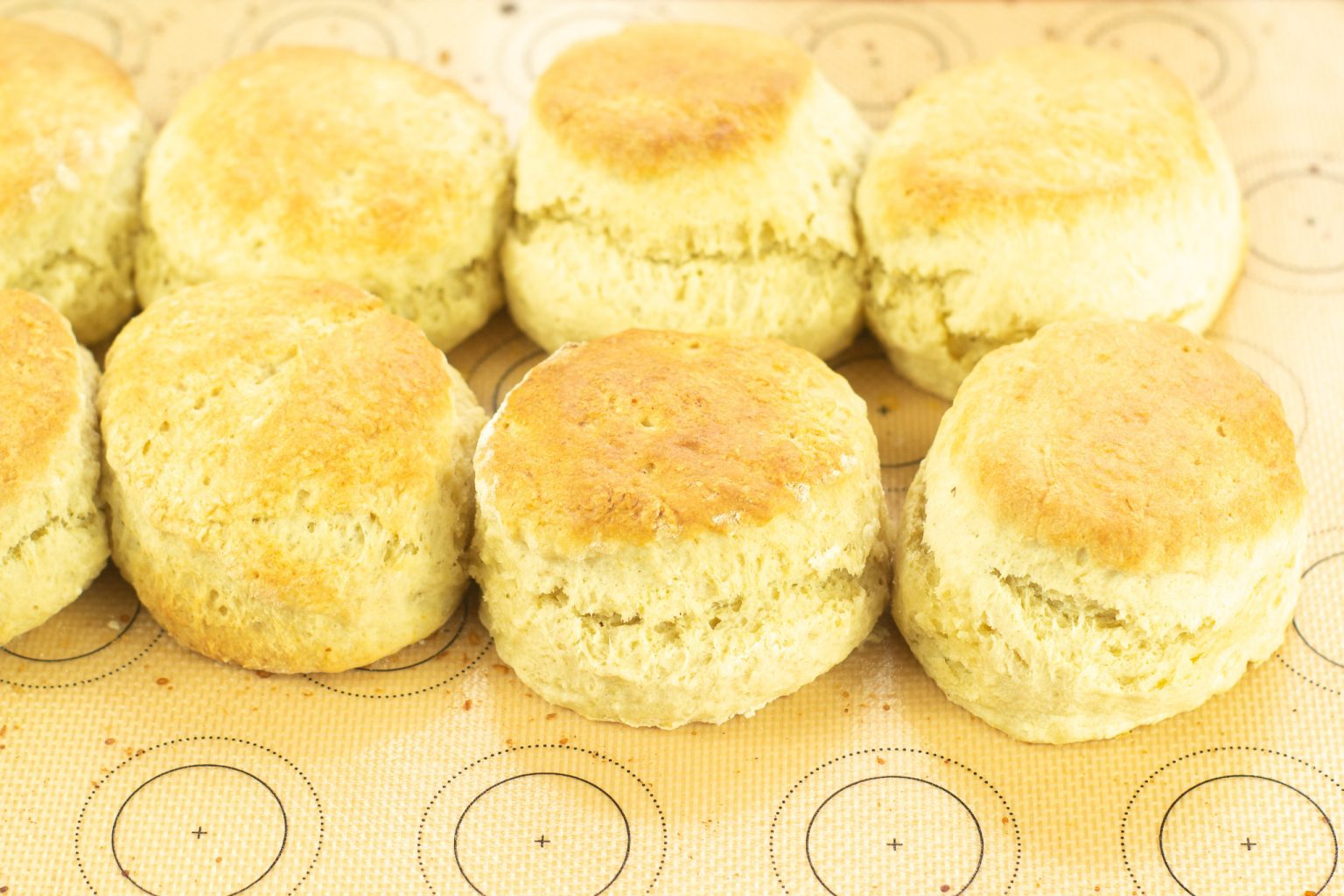 Easy Plain Scones - Apply to Face Blog