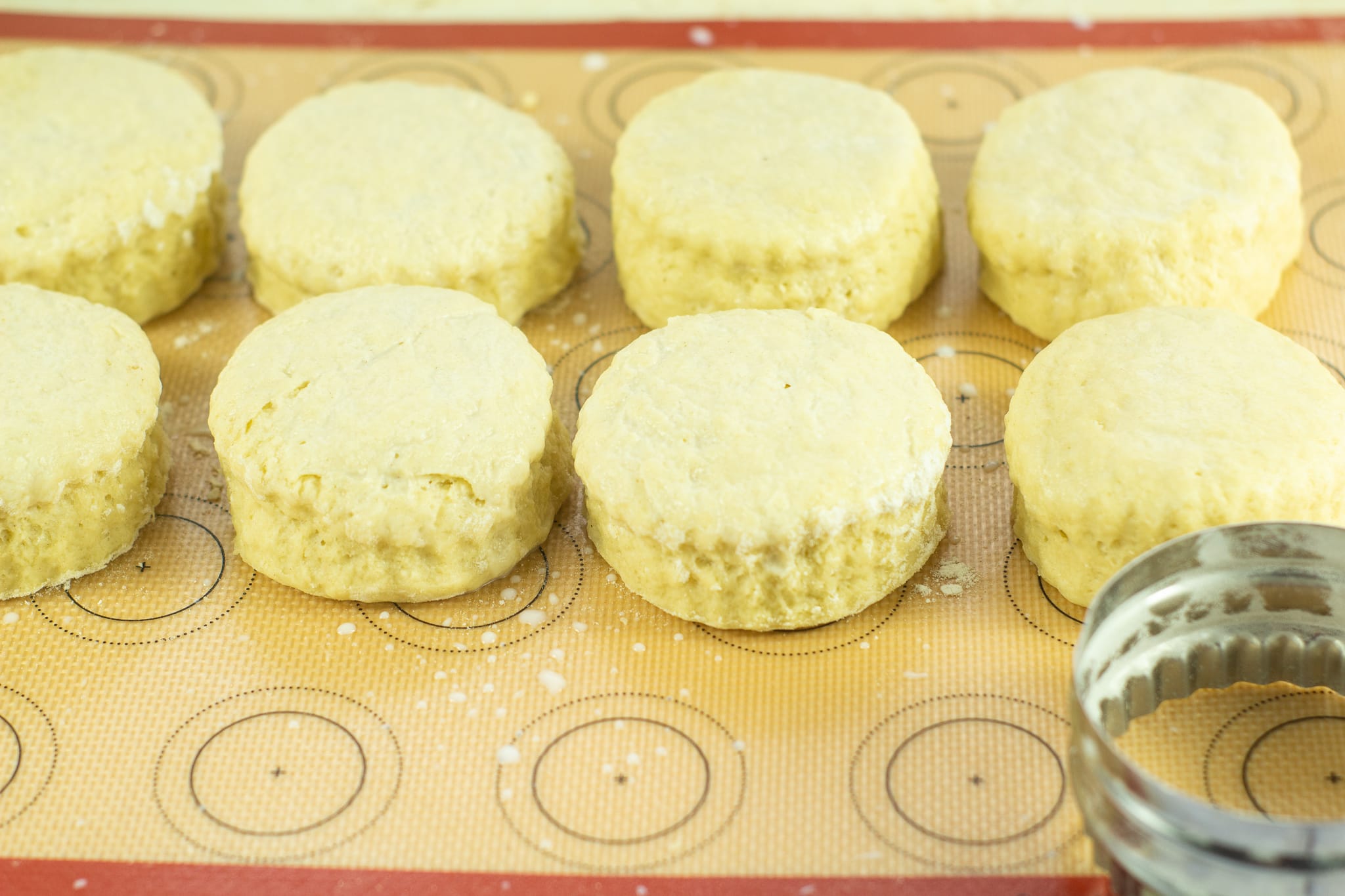 Easy Plain Scones - Apply to Face Blog