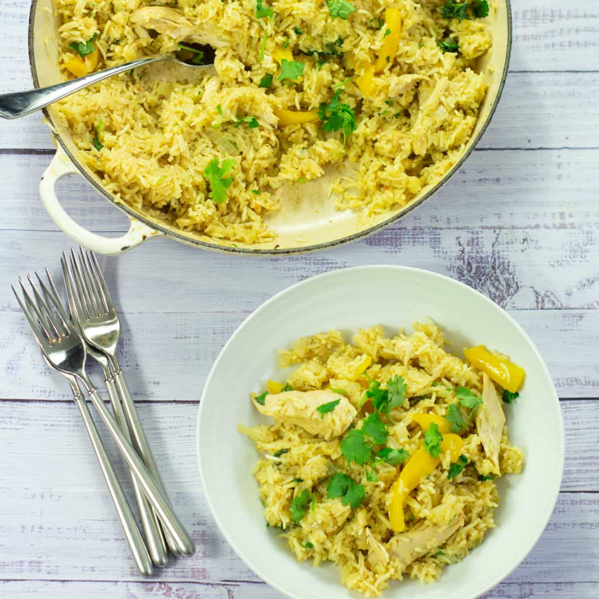 Easy Leftover Turkey Biryani - Apply to Face Blog