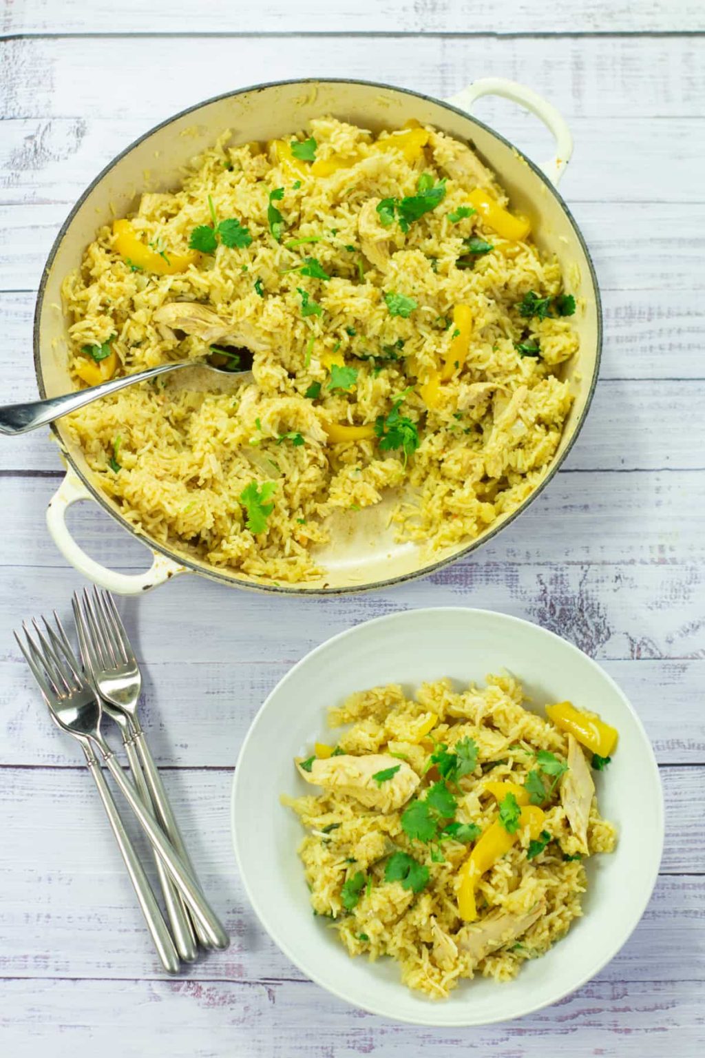 Easy Leftover Turkey Biryani - Apply to Face Blog